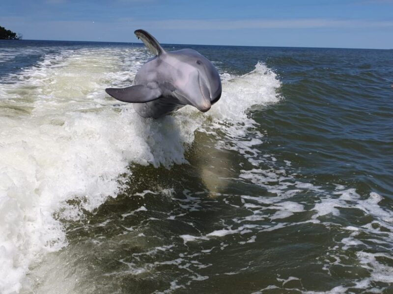 Everglades National Park: Motorboat Eco Tour - FAQ
