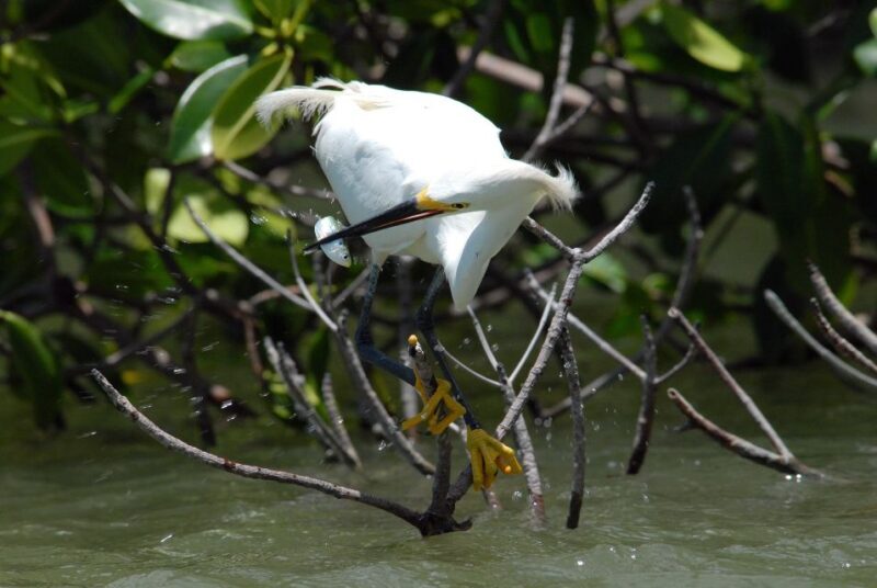Everglades National Park: Private 2.5-Hour Photo Safari - FAQ