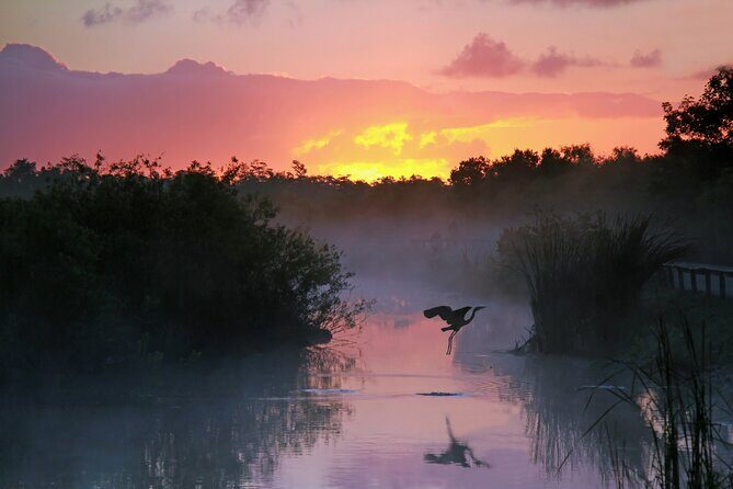 Everglades National Park Self Guided Driving Audio Tour - The Costs and How They Add Value