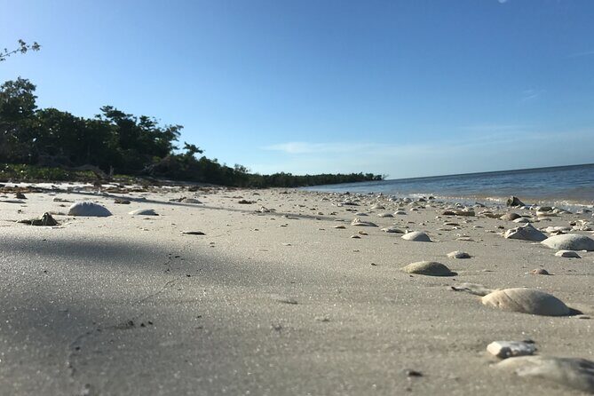 Everglades National Park Small Group Guided Boating and Walking Expedition - Who is This Tour Best For?