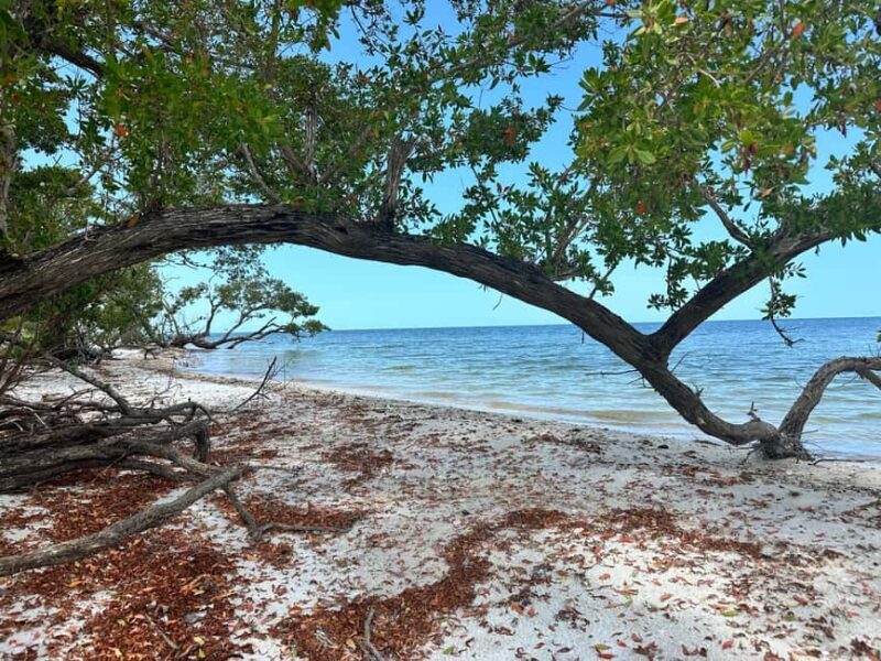 Everglades Pirate and Beach Adventure - The Itinerary: A Day in the Life of a Buccaneer