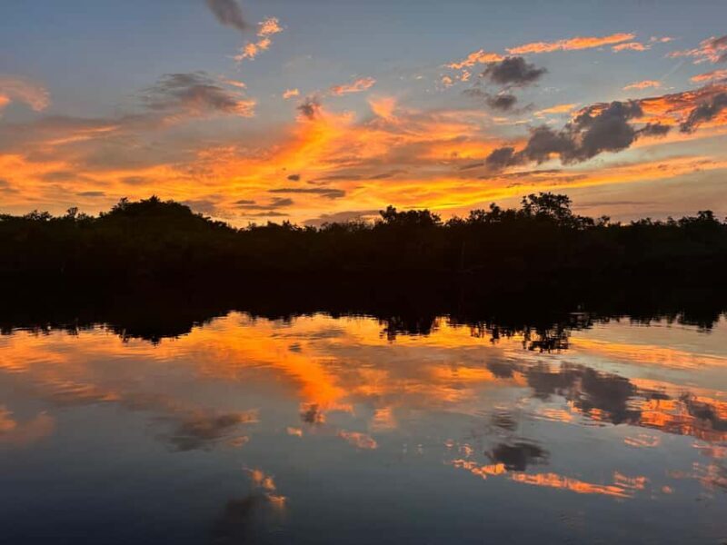 Everglades Pirate and Beach Adventure - Wildlife and Environment: Beyond the Pirate Tales