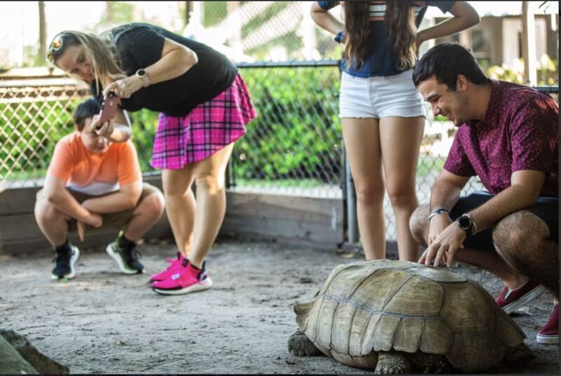 Everglades: Sawgrass Park Reptile Exhibit Private Tour - Frequently Asked Questions