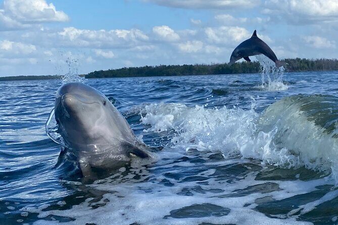 Everglades Small Group Guided Boating and Walking Expedition - Frequently Asked Questions
