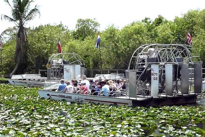 Everglades Tour in Miami - What We Liked