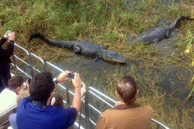 Everglades Tour in Miami - What Could Be Better