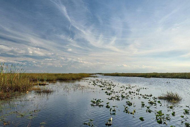 Everglades Tour w/ Biologist Led WET walk + 2 Boat Trips + Lunch! - Cultural and Historic Stops