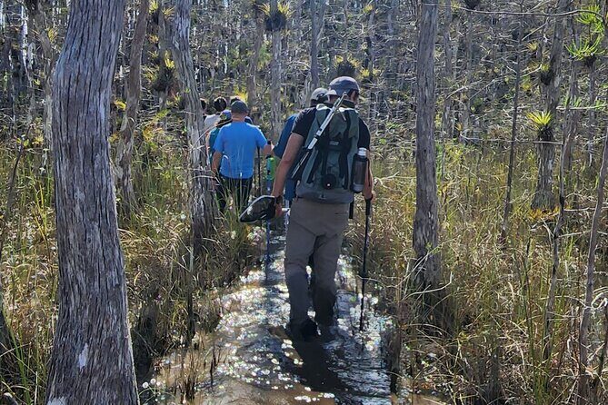 Everglades Tour w/ Biologist Led WET walk + 2 Boat Trips + Lunch! - Practical Details and Value