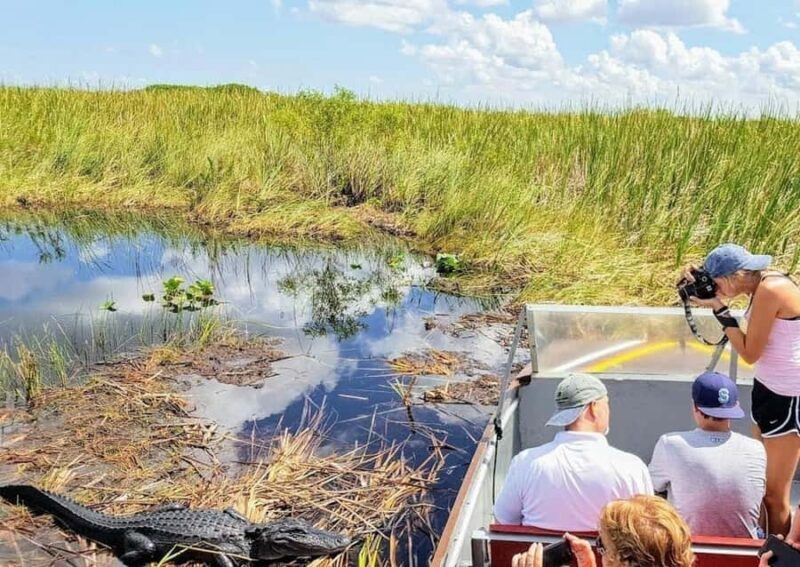 Everglades Tour with 2 Boat Rides, Hike and Lunch - Practical Details and Tips