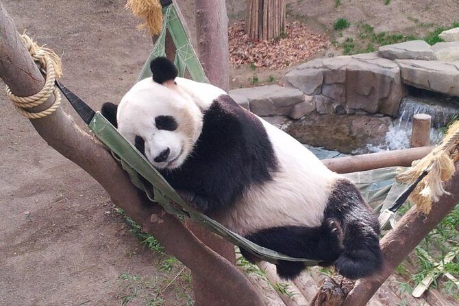 EVERLAND "From Hotel to Hotel" [Premium Private Tour: Only One Group for You] - Price and Value