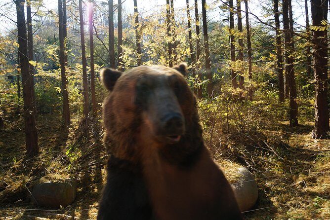 EVERLAND "From Hotel to Hotel" [Premium Private Tour: Only One Group for You] - Who Should Book This Tour?