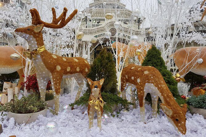 Everland Private Shuttle "Total Private Tour: More Members Less Cost" - Practicalities and Tips