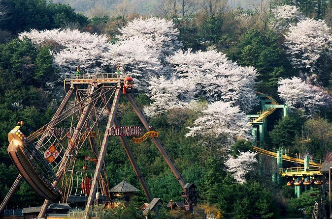 Everland Theme Park Entry Ticket - Transportation and Accessibility