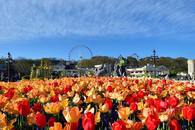 Everland Theme Park Entry Ticket - What Travelers Say