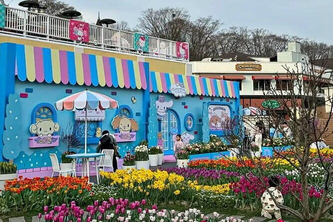 Everland Theme Park Private Transfer (From Seoul) - The Experience in Context