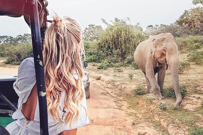 Every Corner a Story | 7 Days - Day 3: Gems, Scenic Railway, and Tea