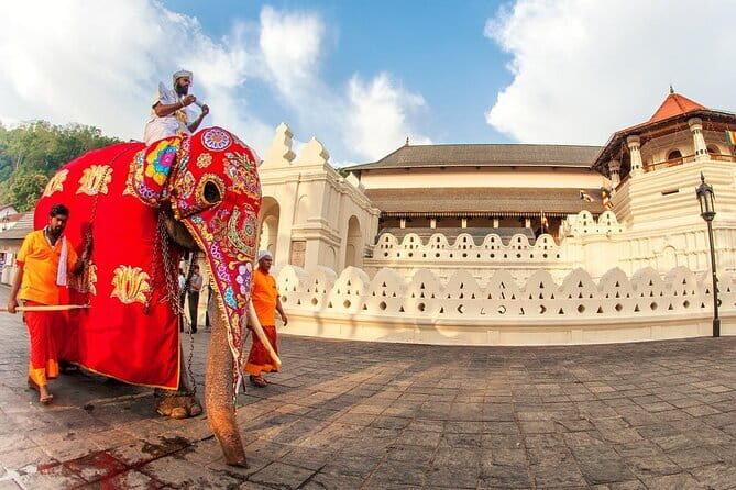 EVERYTHING IN KANDY MULTIPLE OPTIONS ToURS - Key Points