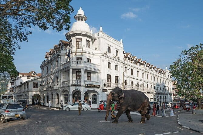 EVERYTHING IN KANDY MULTIPLE OPTIONS ToURS - Discovering the Wonders of Kandy: A Practical Guide