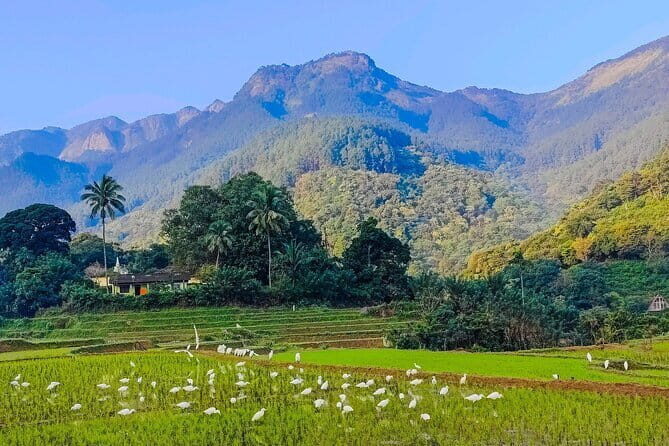 EVERYTHING IN KANDY MULTIPLE OPTIONS ToURS - Final Thoughts