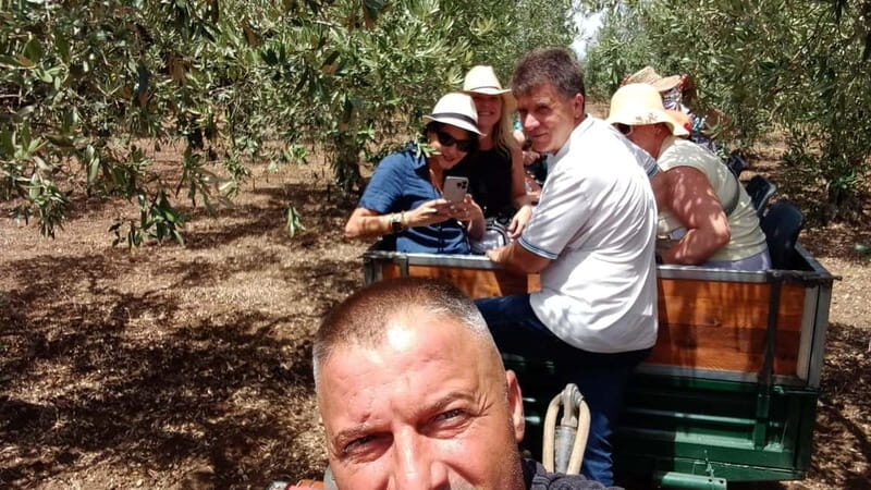 EVO Oil Tasting in Castelvetrano - What You Can Expect from this Olive Oil Experience