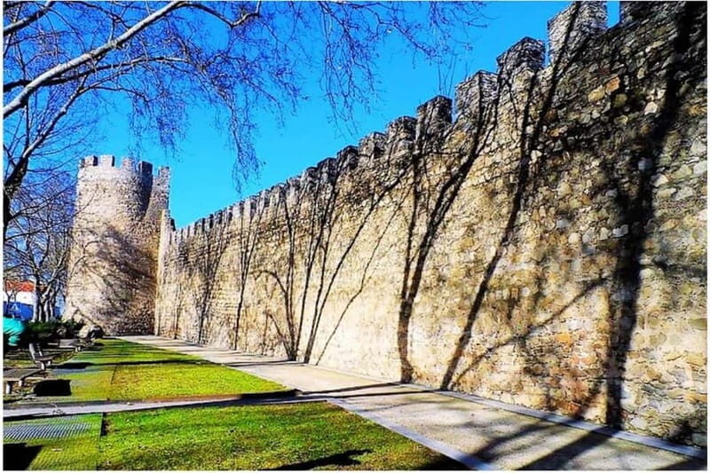 Evora Ancient City & The Alentejo Private Luxury Wine Tour - A Taste of Portugal: Wineries, Wines, and Culture