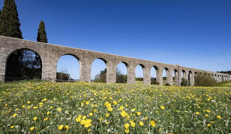 Evora Ancient City & The Alentejo Private Luxury Wine Tour - Authentic, Balanced, and Enriching Experience