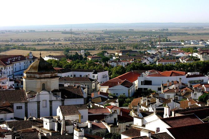 Evora and Monsaraz Wine Tasting Private Tour - Introduction