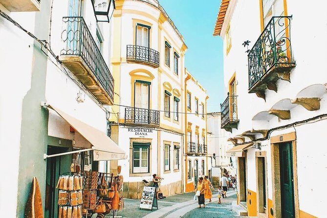 Évora - Full day Private Guided tour from Lisbon by minivan - The Experience: What Travelers Say