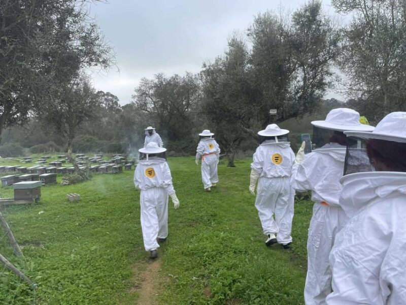 Évora or Montemor: Beekeeping, Chocolate factory, Wine tasting - Analyzing the Value and Suitability