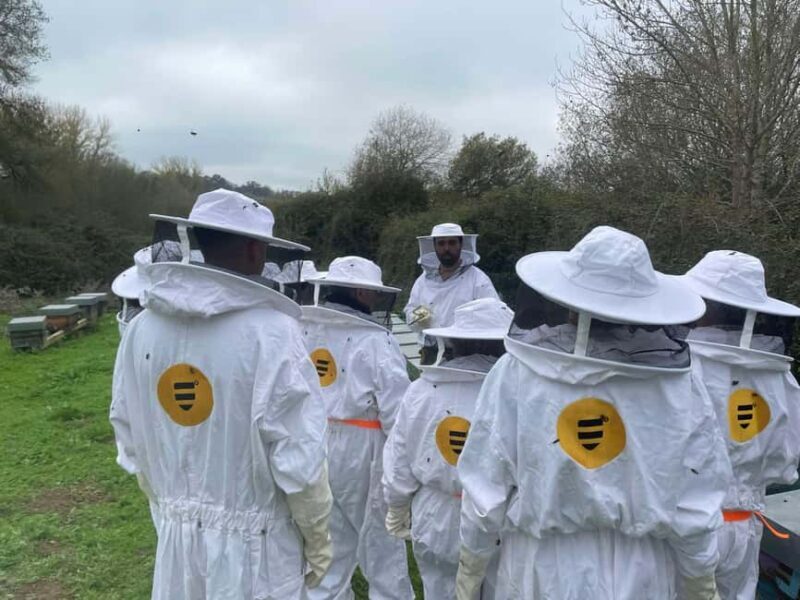 Évora or Montemor: Beekeeping Guided Tour with Honey Tasting - Key Points