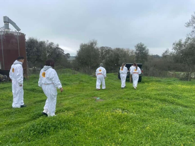 Évora or Montemor: Beekeeping Guided Tour with Honey Tasting - Final Thoughts