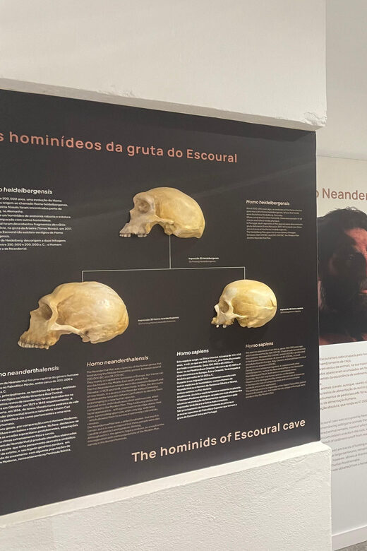 Évora or Montemor: Guided Tour of the Escoural Caves - Reviews and Real Traveler Insights
