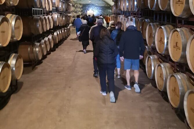 Évora Private Tour - Cork Factory and Wine Estate Included - Final Thoughts