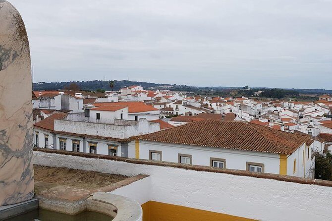 Évora Private Tour - Cork Factory Visit & Wine Tasting Included - Who Should Consider This Tour?