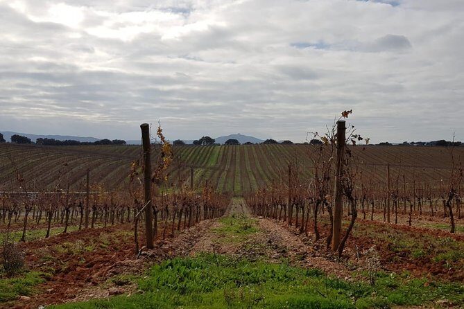 Évora Private Tour - Cork Factory Visit & Wine Tasting Included - FAQ