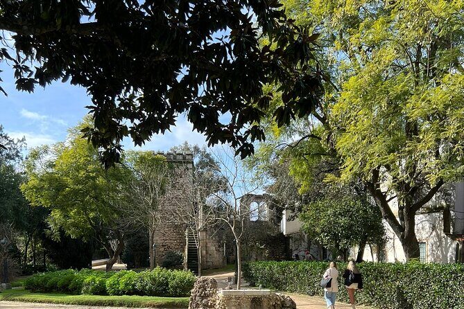 Évora: Private Walking Tour - Who Will Love This Tour?