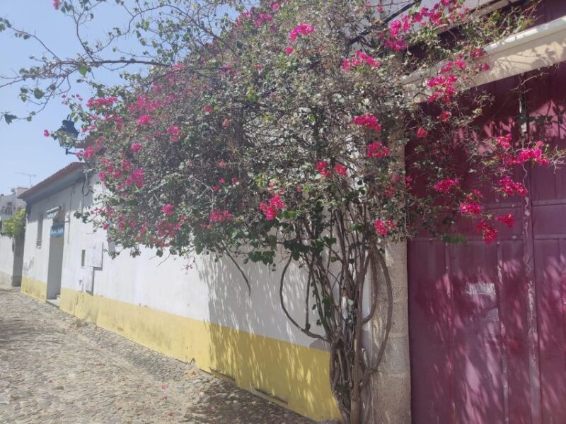 Évora Private Walking Tour - Frequently Asked Questions