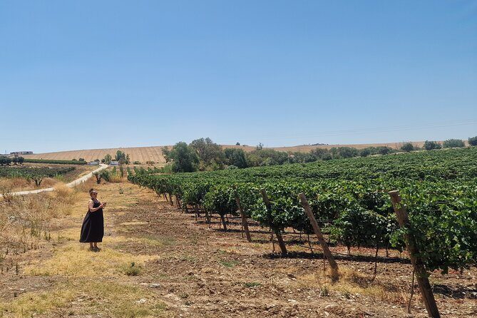 Evora Wine & Cork Experience - The Sum Up: Is This Tour Worth It?