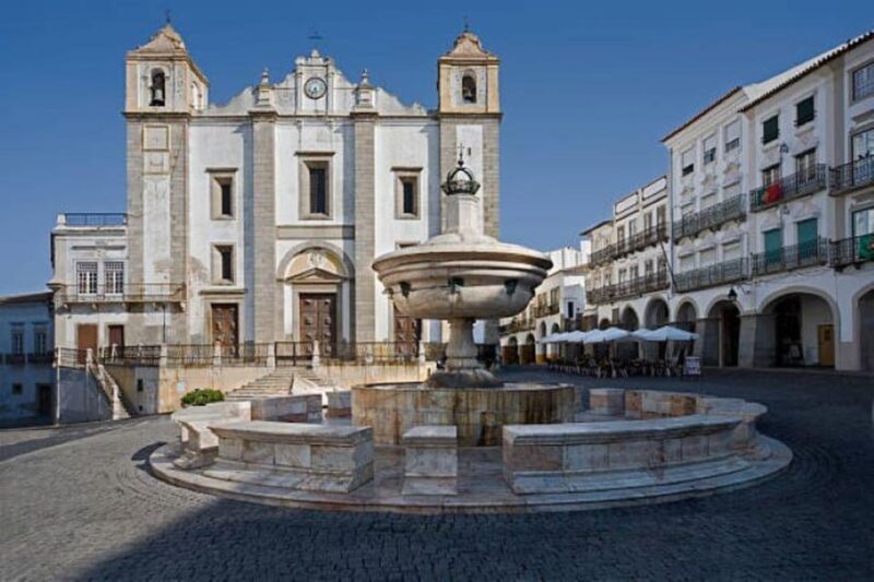 Evora: Wine Tasting and culture Tour - An In-Depth Look at the Évora Tour Experience