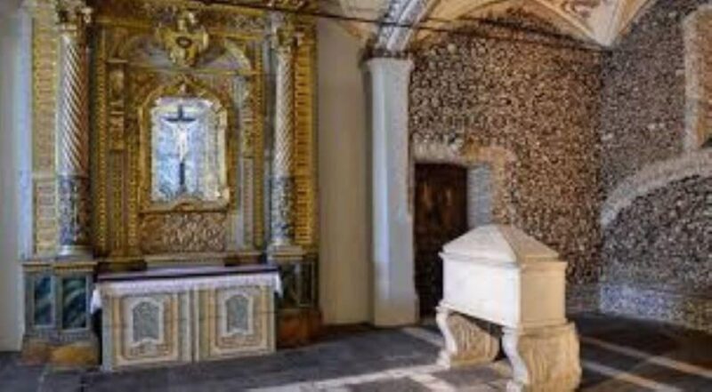 Evora: Wine Tasting and culture Tour - Who Should Consider This Tour?