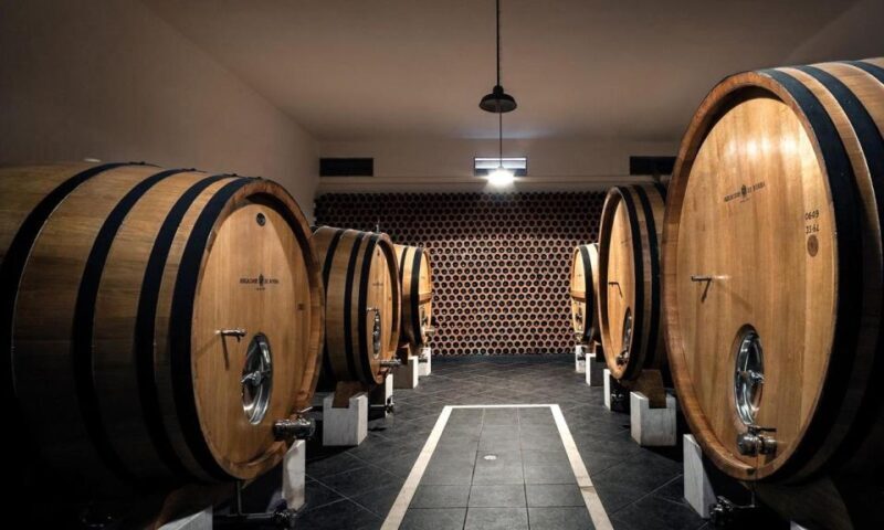 Evora, Winery & Cork Factory: Full-day Private Transport - Key Points