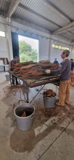 Évora & Wines: A Taste of Authentic Alentejo - Cork Factory: From Tree to Talisman