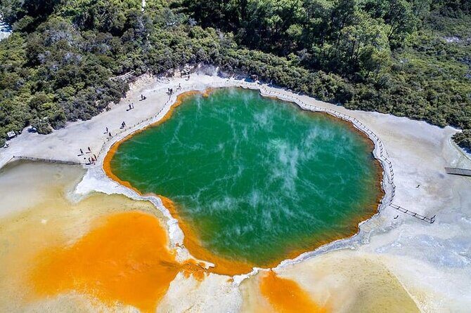 Ex Hamilton: TRIPLE DEAL Wai O Tapu, Redwood Forest & Blue Spring - Introduction