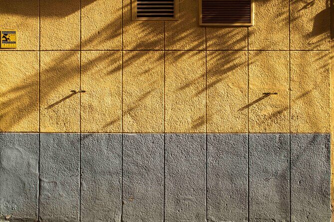 Excellent Private Photography Walking Tour & Workshop in Valencia - FAQ About the Tour