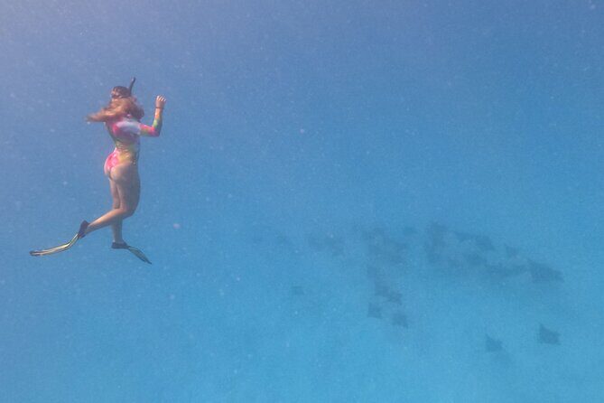 Exceptional Half Day on the Bora Bora Lagoon in Combo - Exploring the Lagoon: What You Can Expect