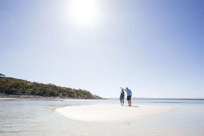 Exceptional Port Lincoln, Seafood and Wildlife Tour - An In-Depth Look at the Tour