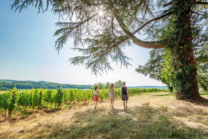 Exceptional visit and tasting of 7 wines - A Well-Rounded, Authentic Wine Experience