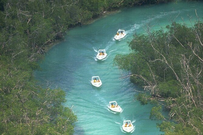 Exciting Speedboat & Snorkeling Tour in Cancun Lagoon! - Snorkeling at the Mayan Reef