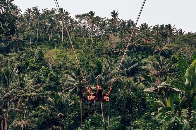 Exciting White Water Rafting and Swing at Tegallalang Rice Terrace Package - Who Should Consider This Tour?