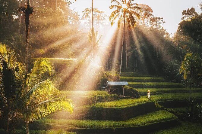 Exciting White Water Rafting and Swing at Tegallalang Rice Terrace Package - FAQ